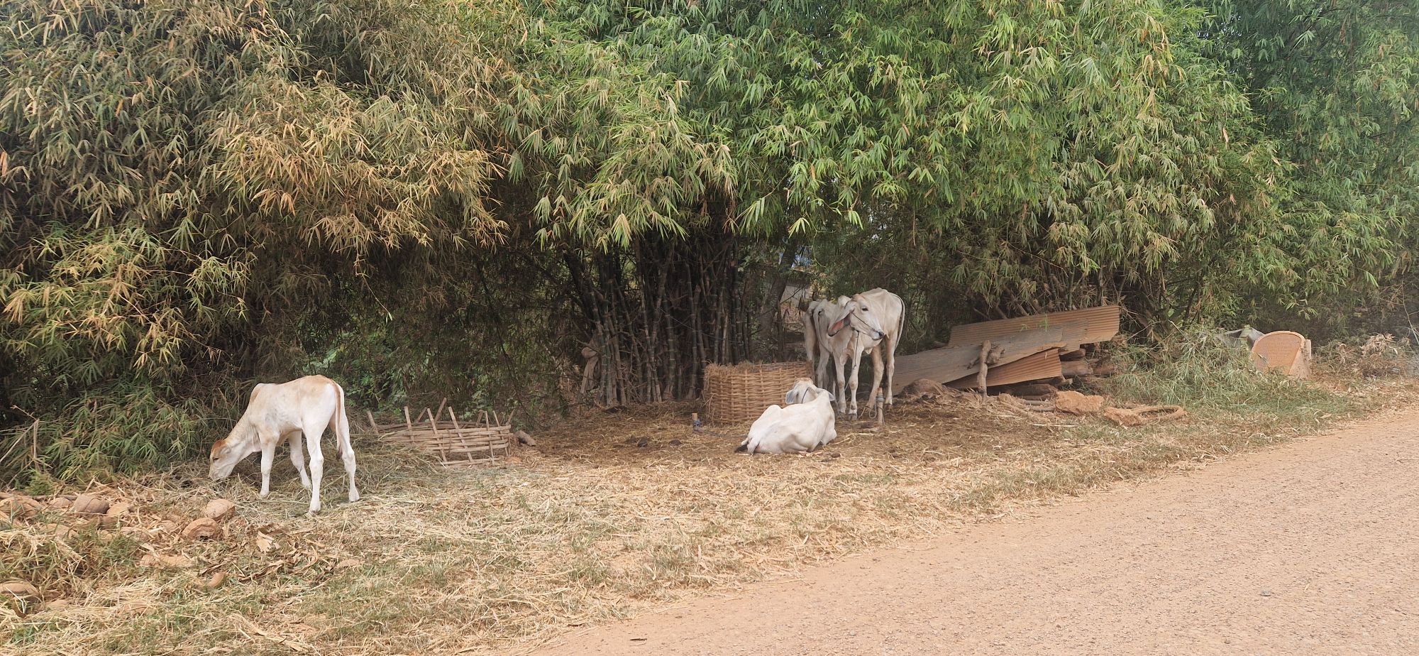 Battambang and on to Phnom Penh. – Earth, Wind and Tyres